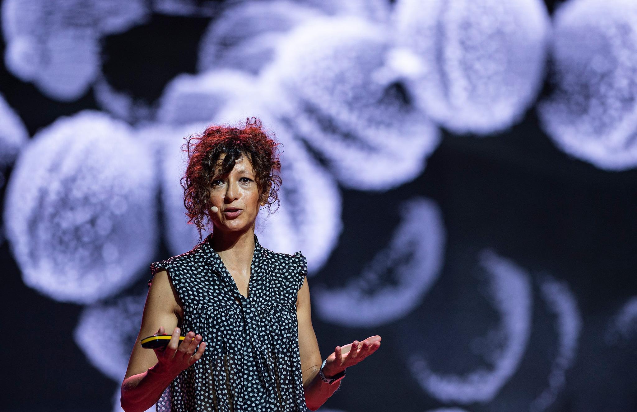 STARMUS Festival